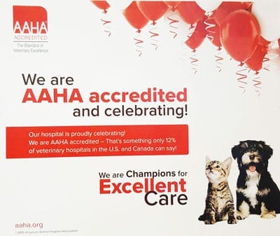AAHA Accreditation | Whitney Veterinary Hospital